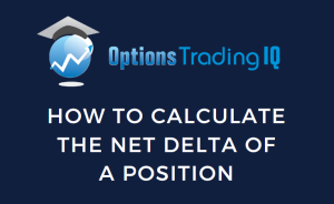 How To Calculate The Net Delta Of A Position