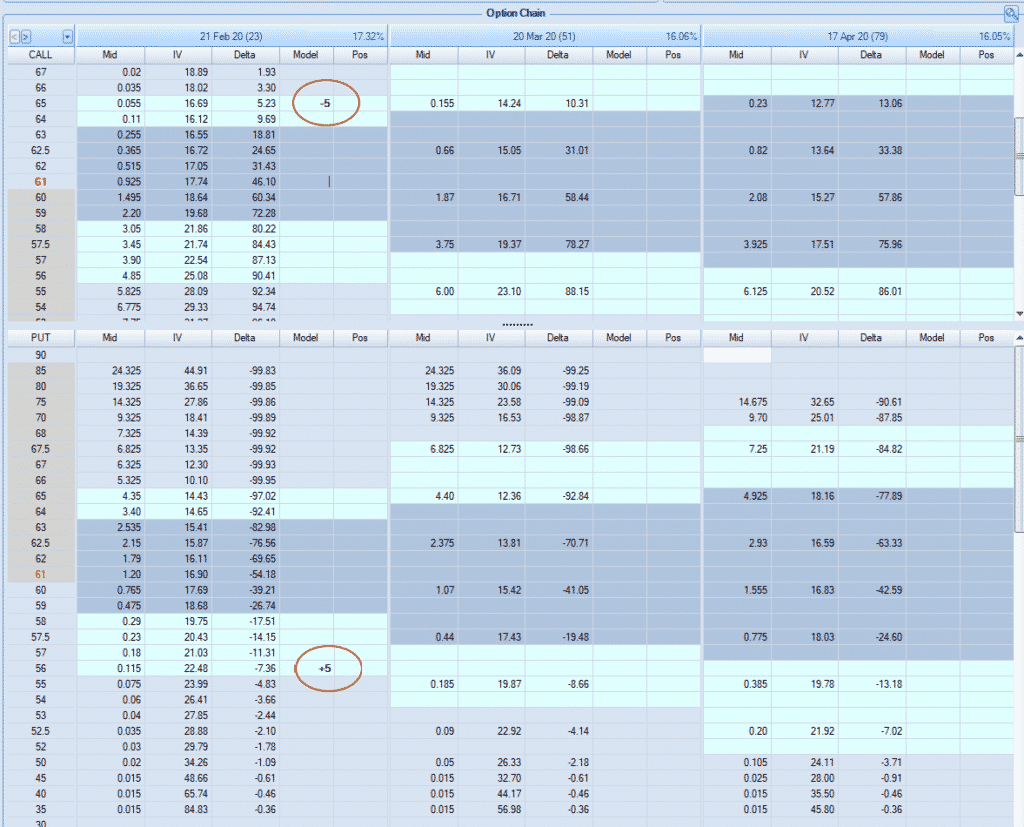 OptionNet Explorer Review 2025 - Complete Guide w/ Examples